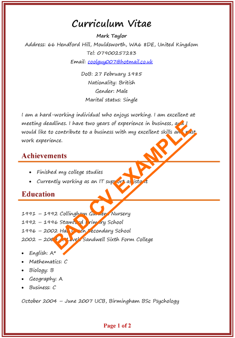 CV Format In Nigeria How To Create The Perfect Job CV In Nigeria